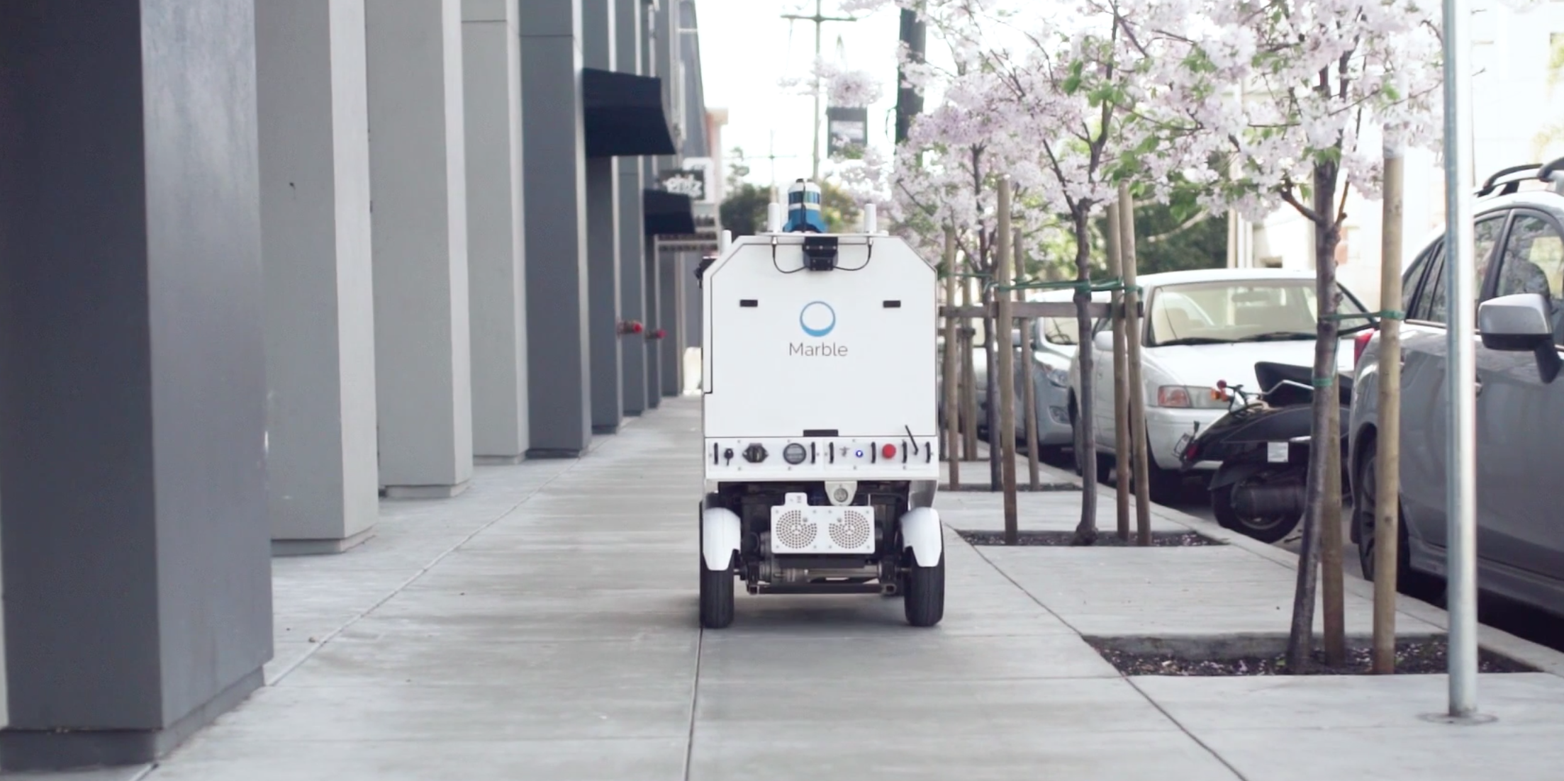 Minor Roadblocks Stand in the Way of Personal Delivery Devices | The Spoon